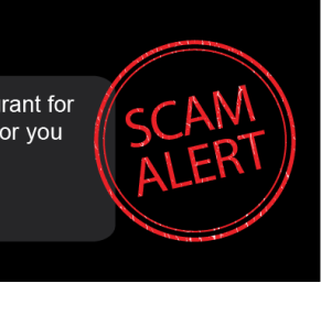 Government 'cost Of Living' Impersonation Scam | Mirage News
